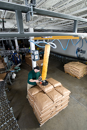 Ceiling Mounted Bridge Cranes